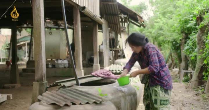 ស្រូវទៅចោលស្រែ ដួងវីរះសិទ្ធ - TNAOT