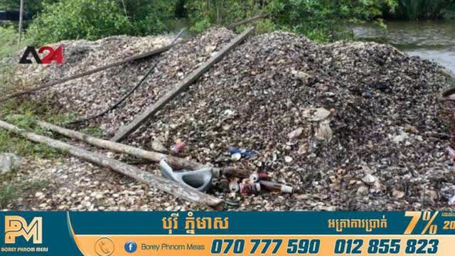 កសិករតាមឆ្នេរនៅប្រទេសថៃ ទាមទារសំណងបន្ទាប់ពីរងគ្រោះដោយទឹកសាប - TNAOT