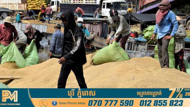 ADB អនុម័តផ្តល់ជំនួយចំនួន ២ ដើម្បីជំរុញវិស័យទេសចរណ៍ និងផលិតកម្មស្រូវនៅកម្ពុជា - TNAOT