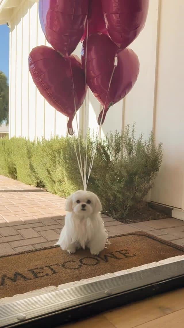 开门就看到了，无法拒绝的Surprise - TNAOT