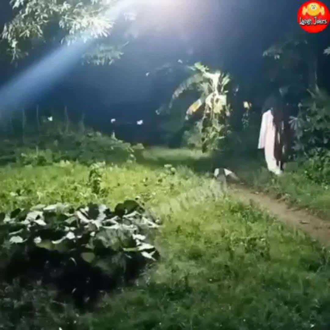 សាទ្បប់តើង ខ្មោចលងពិត - TNAOT