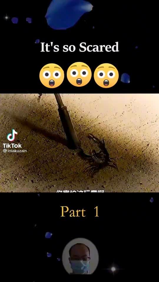 Scary movie part#2 - TNAOT