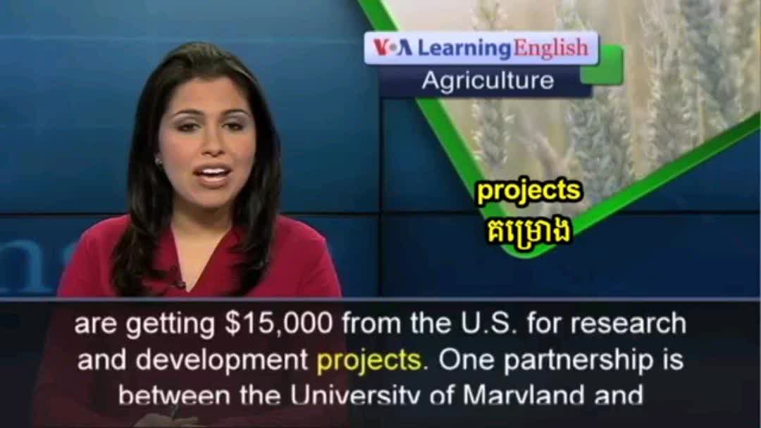 Special English part 2#95 - TNAOT