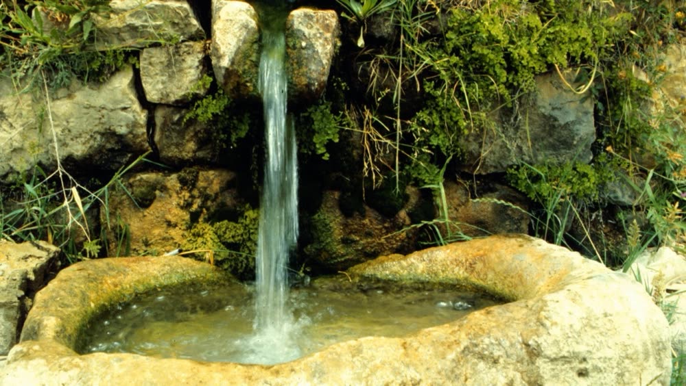 ផឹកទឹកត្រូវនឹកដល់ប្រភព ជ្រកក្រោមម្លប់ត្រូវនឹកដល់អ្នកដាំ - TNAOT