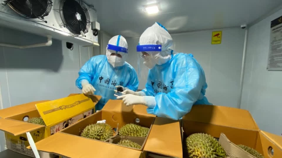 ភូមិភាគស្វយ័តក្វាងស៊ីបានបើកផ្លូវអាកាសចរណ៍ជាផ្លូវការក្នុងការនាំចូលផ្លែឈើពីបណ្តាប្រទេស RCEP - TNAOT